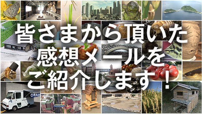 2026年 感想メール｜ザ！鉄腕！DASH!!｜日本テレビ