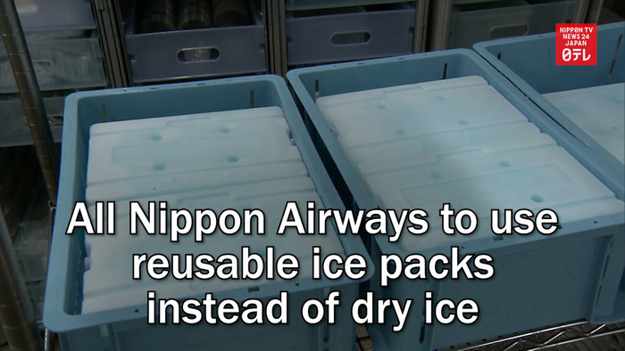 All Nippon Airways to use reusable ice packs instead of dry ice ...