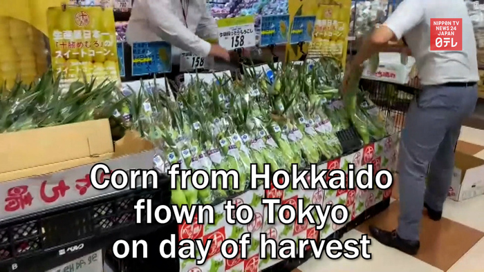 Corn from Hokkaido flown to Tokyo on day of harvest | Nippon TV NEWS 24 ...