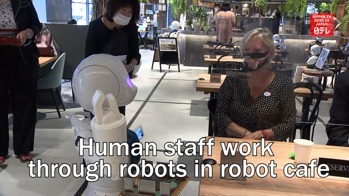 Human staff work through robots in robot cafe | Nippon TV NEWS 24 JAPAN