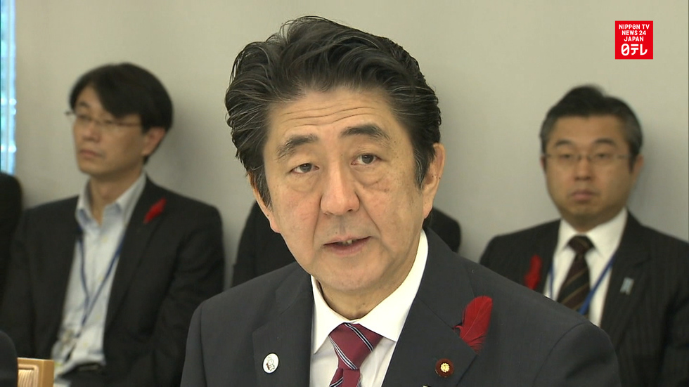 Japan unveils TPP details | Nippon TV NEWS 24 JAPAN