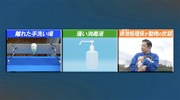 GWに何が起きた？テーマパークで動物と触れ合った人がO157に次々感染｜ザ！世界仰天ニュース｜日本テレビ