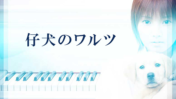 仔犬のワルツ｜日本テレビ